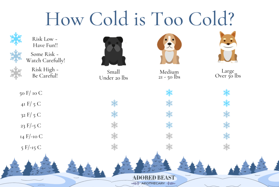 Winter Safety Tips for Pets