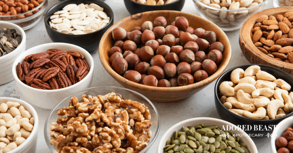 Are Nuts Good for Dogs?